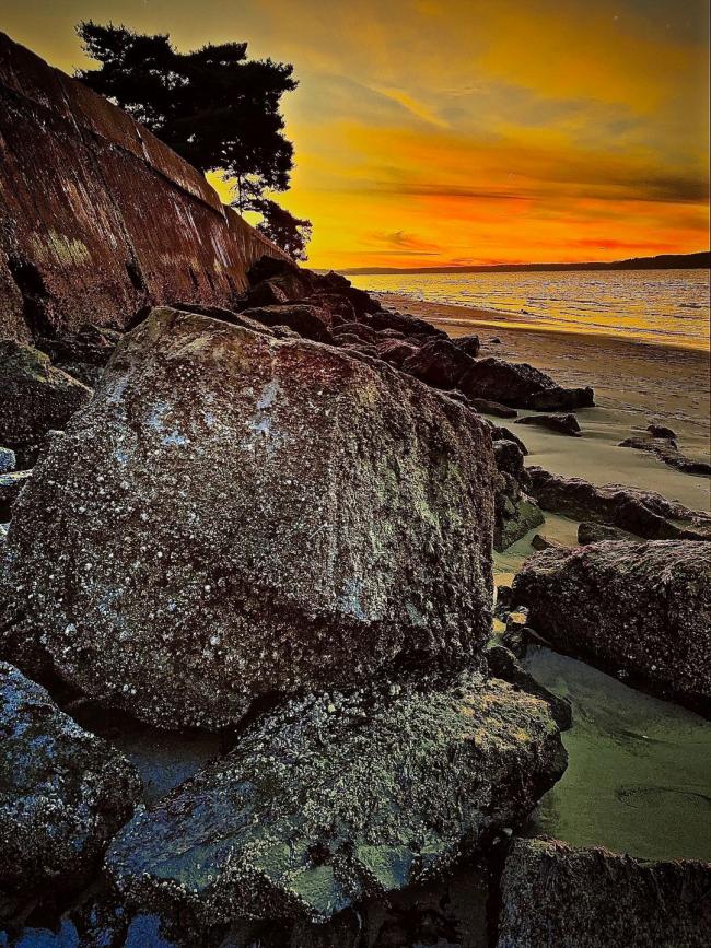 newsstory | Westside Seattle